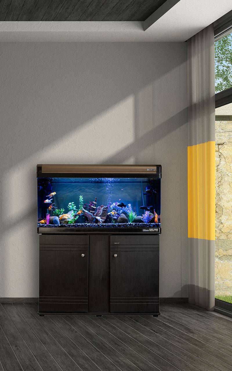 Mi Pecera – Mi Pecera